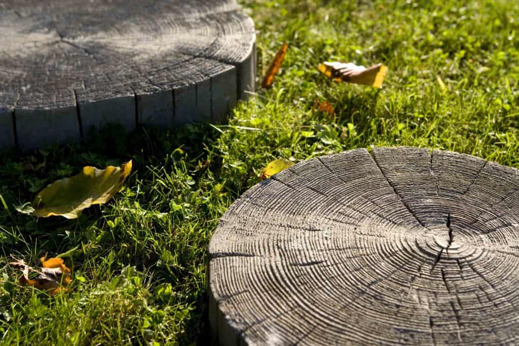 Driftwood Log Step 360mm - UK Bricks, Timber, Pavers, and Building Supplies