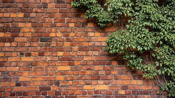 Building Bricks - UK Bricks, Timber, Pavers, and Building Supplies